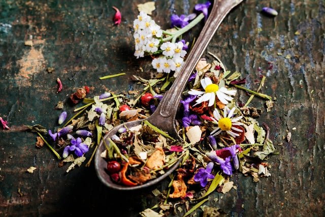 Top Varieties of Herbal Tea and Their Health Benefits – Camellios